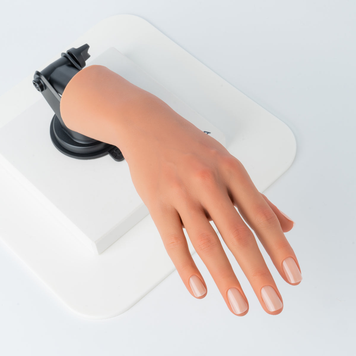 Silicone Practice Hands, Fingers and Feet Starter Kits for Nail Art ...