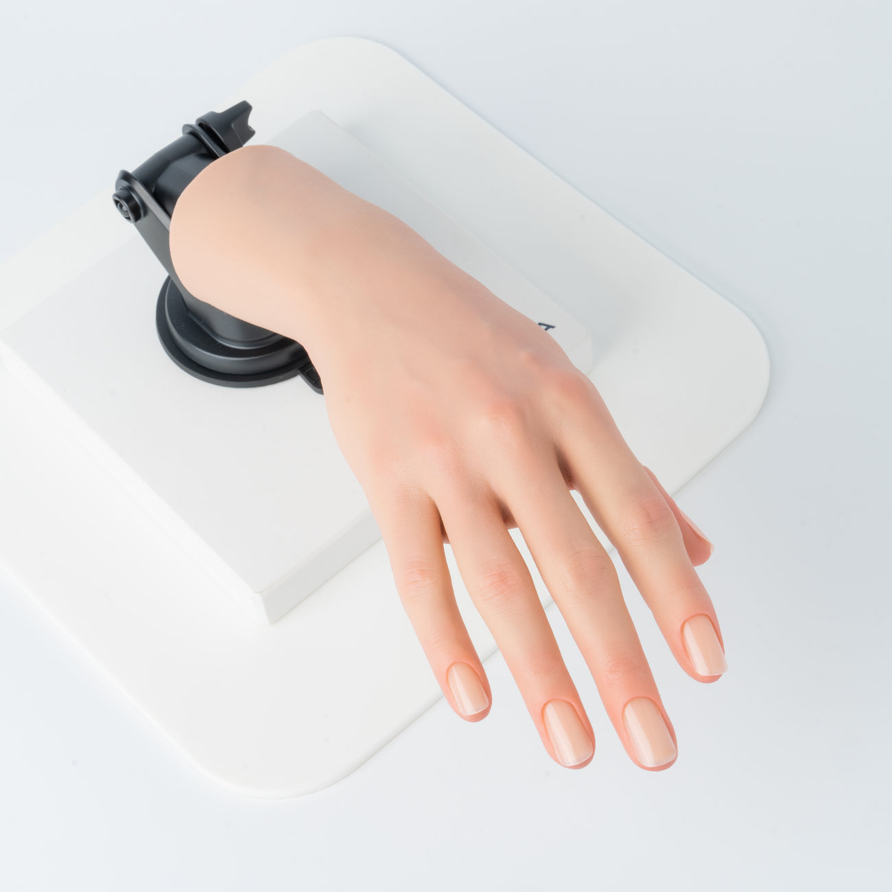 Practice Hand – ALEANA HAND